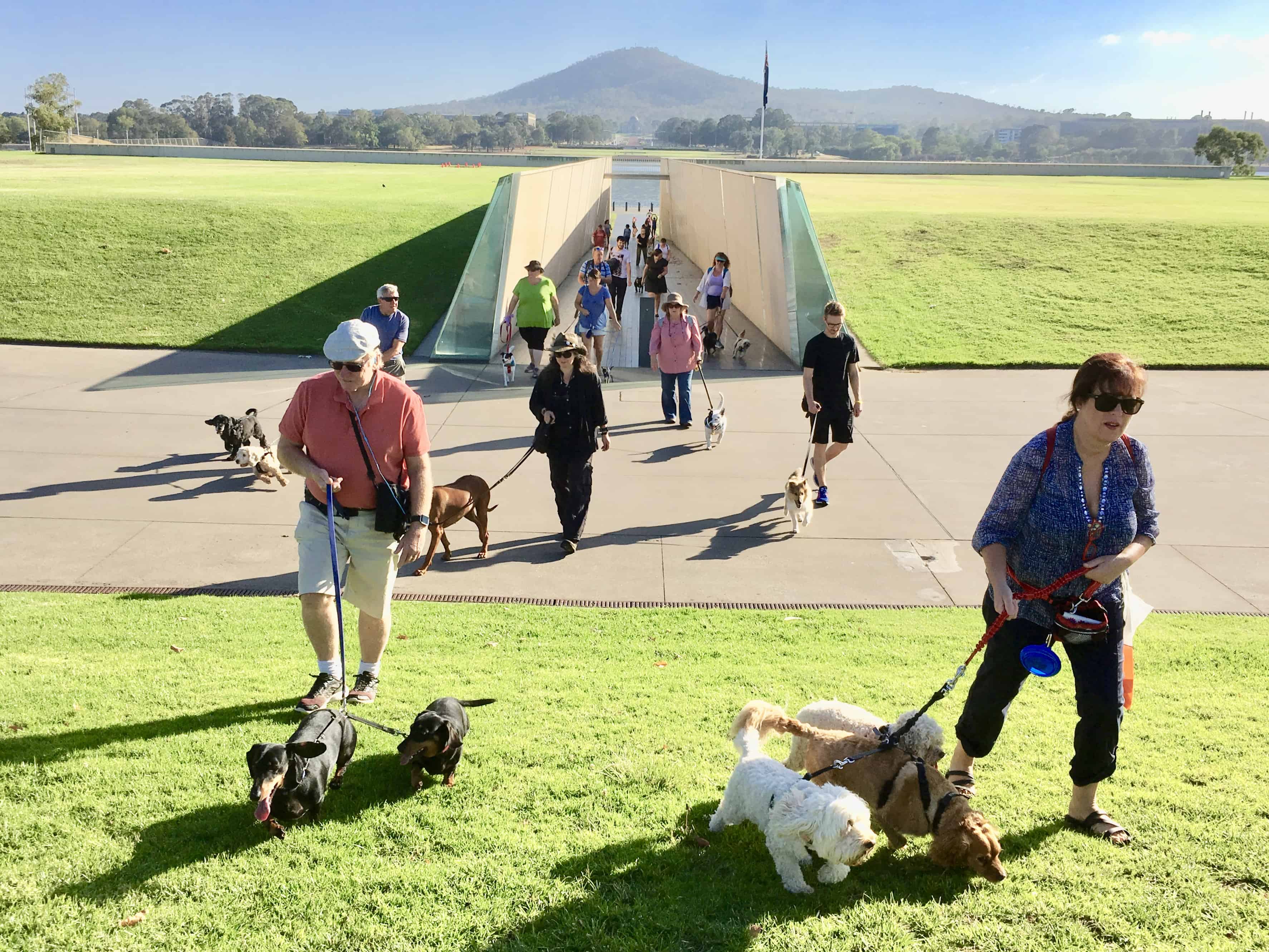 New Dog Walking Laws Have Your Say Canberra Dog Walks New Dog Walking Laws Have Your Say Canberra Dog Walks